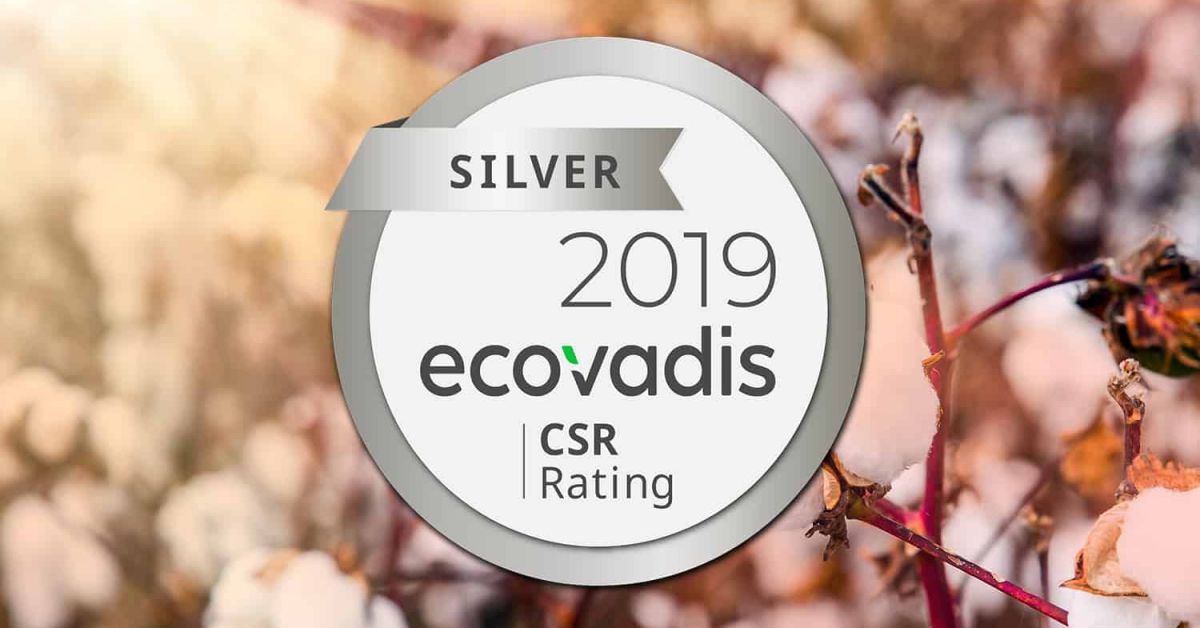 Silver EcoVadis Rating for Vision Support Services